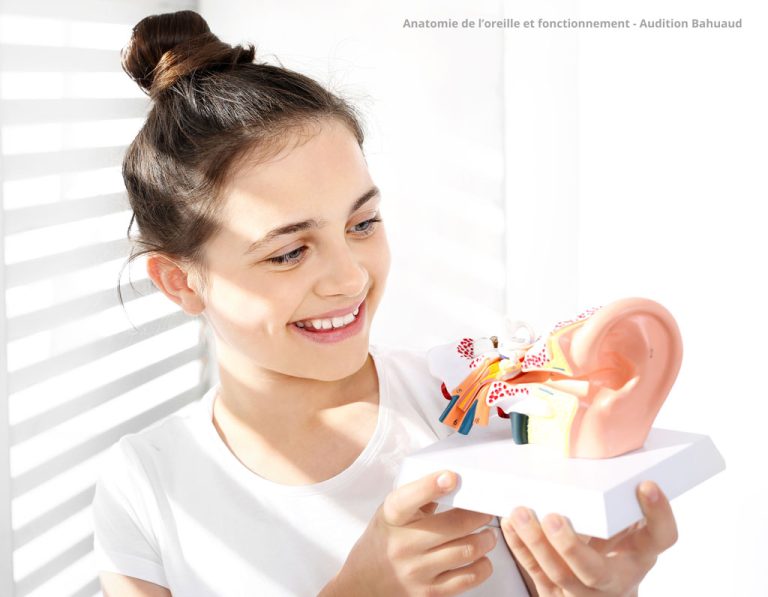 Anatomie de l’oreille et fonctionnement